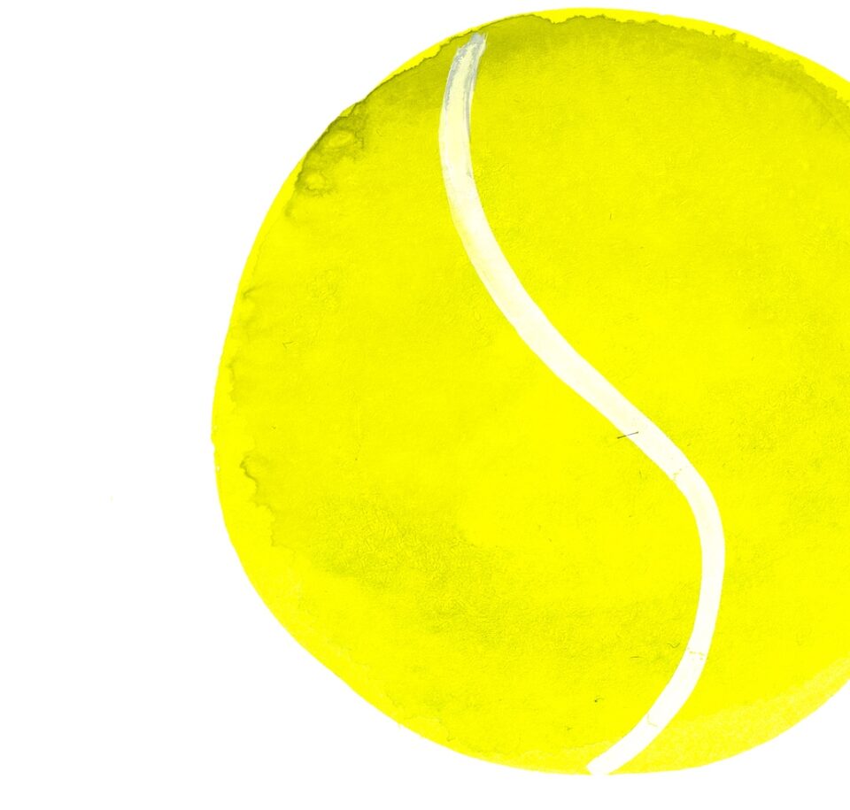 About us – Proventus